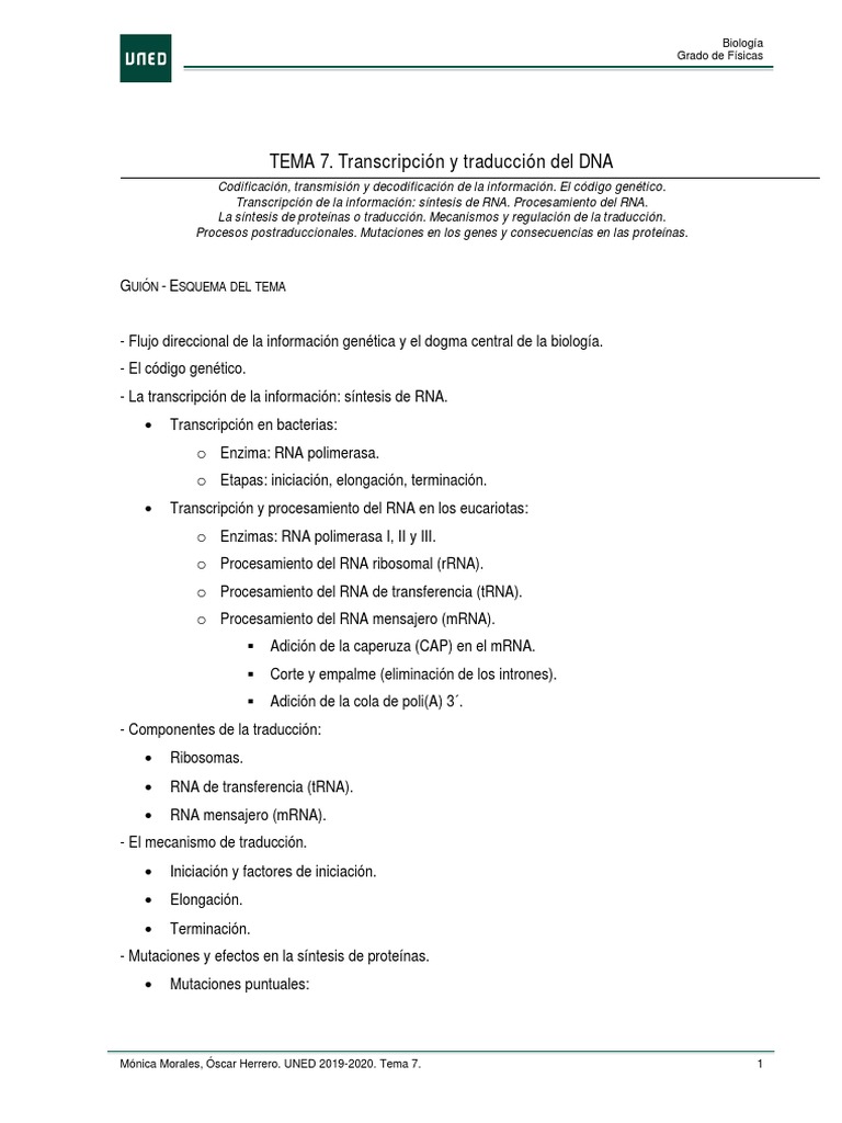 Tema 7 - Transcripción y Traducción Del DNA | PDF | Adn | Rna