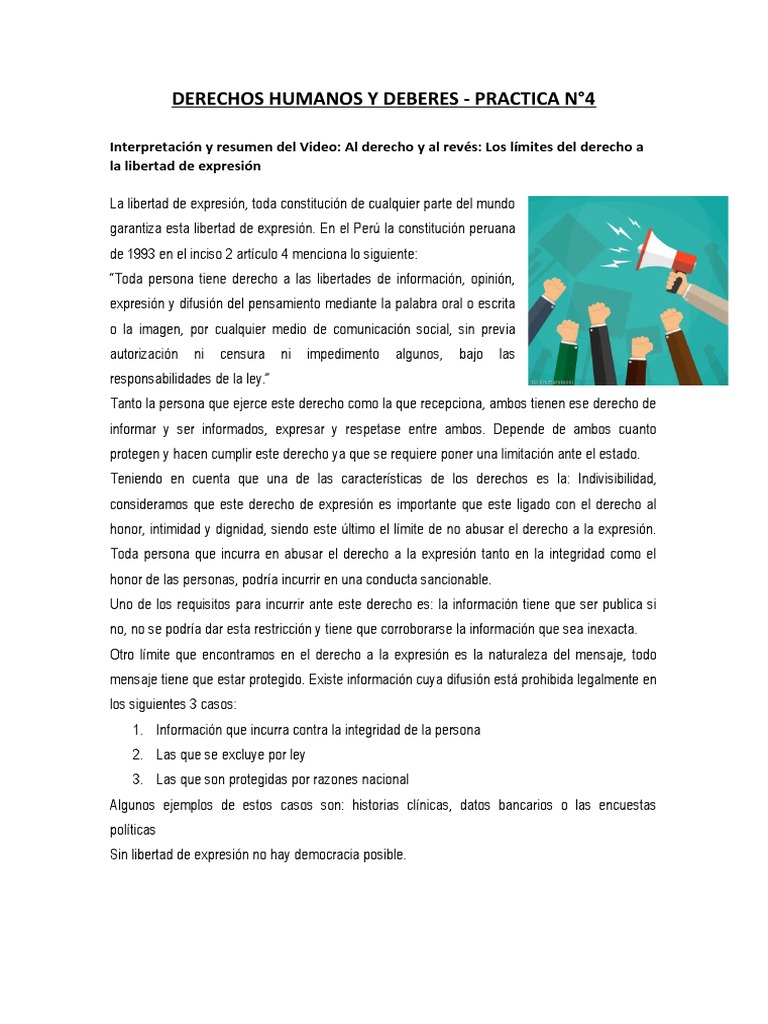 Derechos Humanos y Deberes | PDF