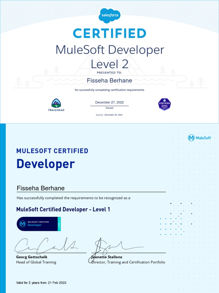 Mulesoft Certified Developer | PDF