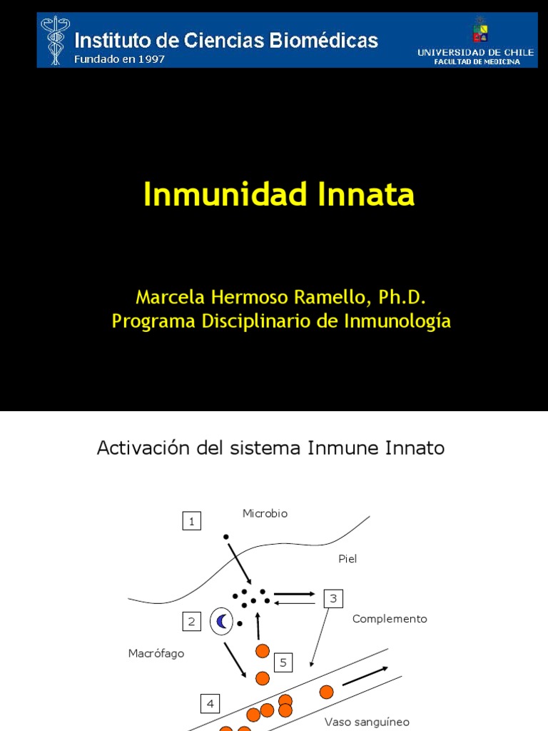 Inmunidad Innata | PDF Inmunidad Innata | PDF