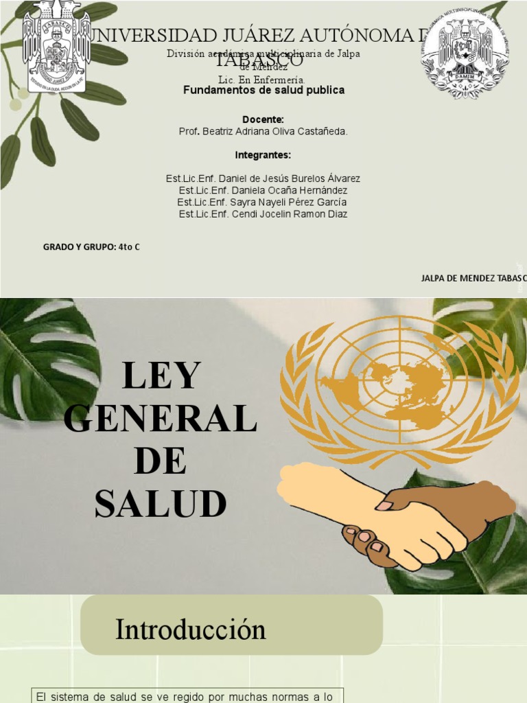 Ley General De Salud 2 Pdf Cuidado De La Salud