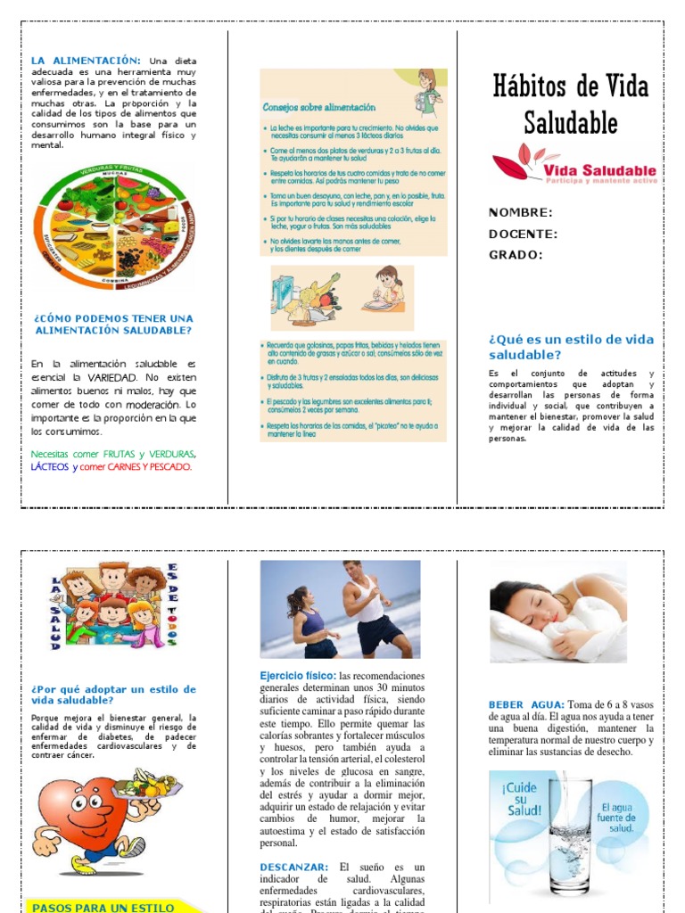 Triptico de Vida Saludable 2 | PDF