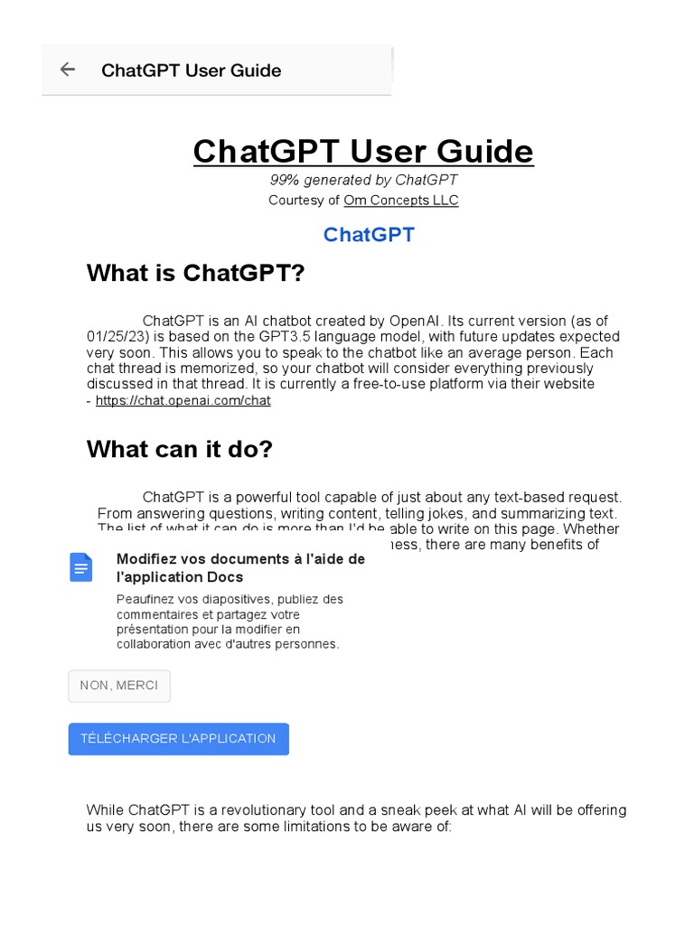ChatGPT User Guide | PDF