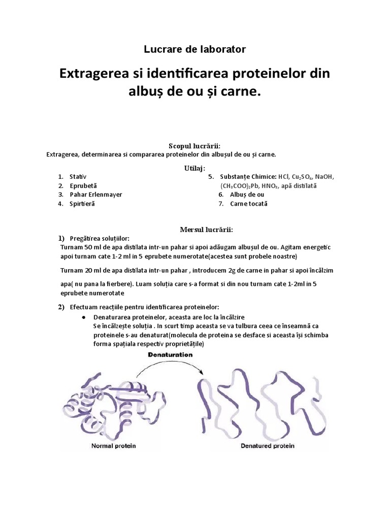 Lucrare de Laborator Nr4 | PDF