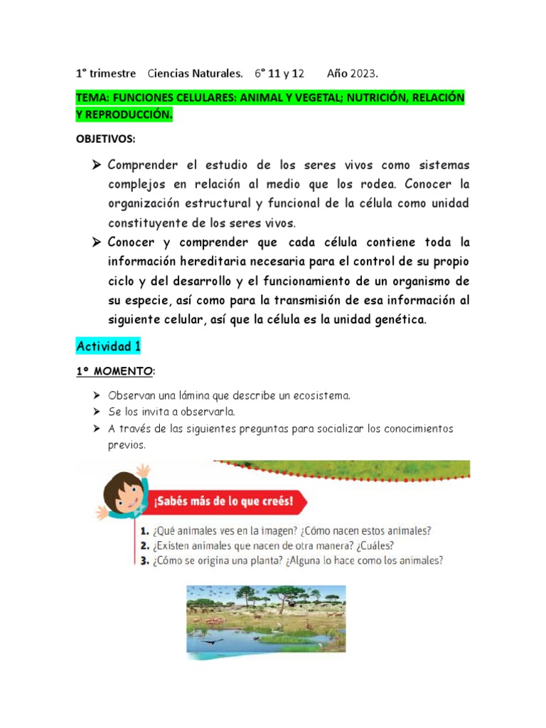 Secuencia 6° Seres Vivos Reproduccion. | PDF | Reproducción | Plantas
