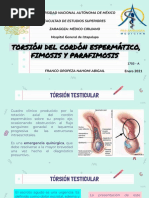 Inserto Esfinto Plus | PDF | Medicina CLINICA | Especialidades Medicas