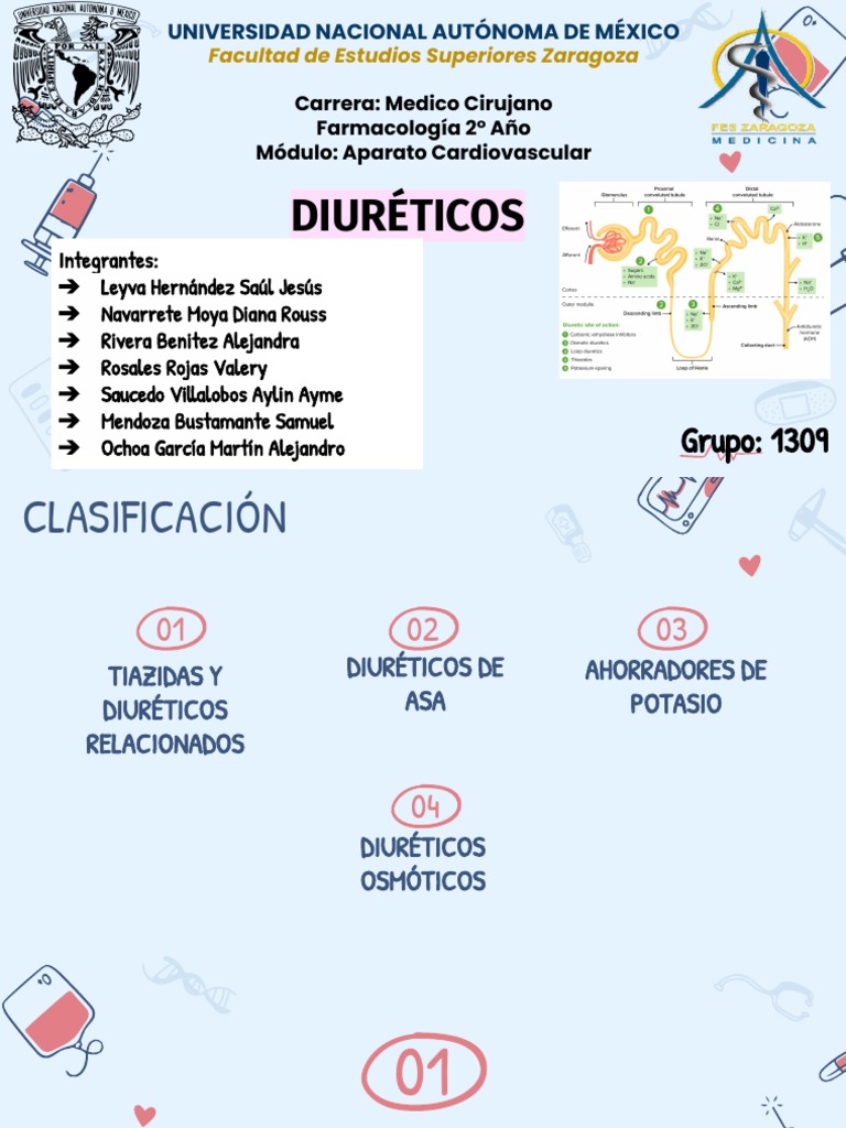 Clasificación y Uso de Diuréticos | PDF | Especialidades Medicas ...
