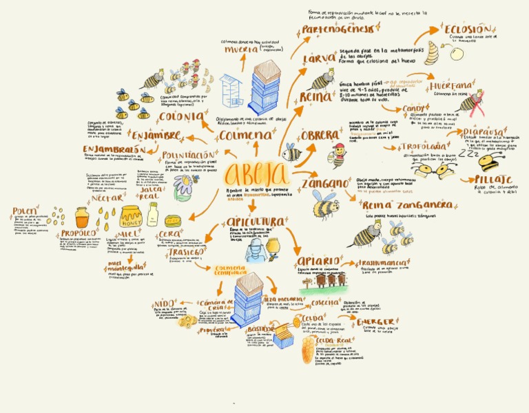 Mapa Mental API | PDF