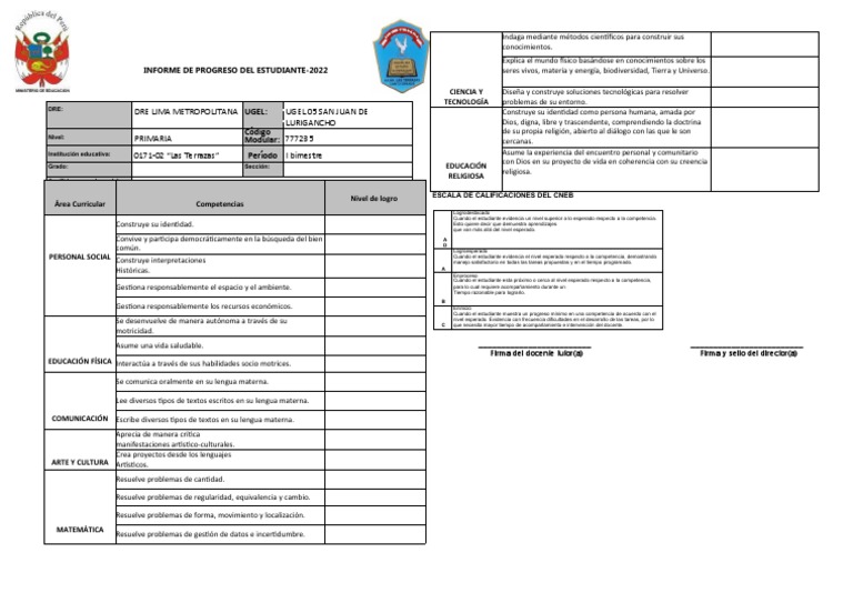 Informe de Progreso PRIMARIA | Descargar gratis PDF | Evidencia | Maestros
