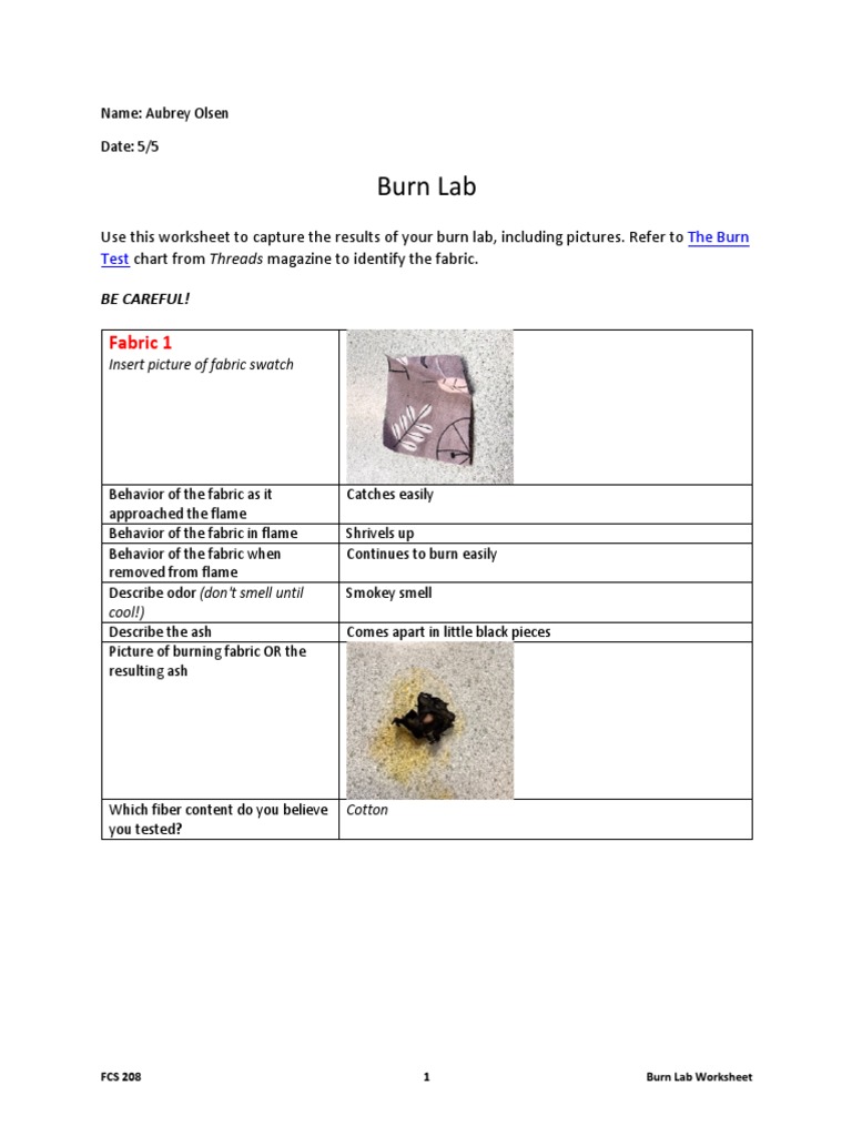 Burn Lab Worksheet | PDF