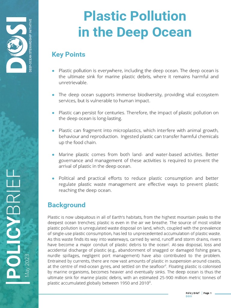 Deep Ocean Plastic 2023 English | Download Free PDF | Oceans | Pollution