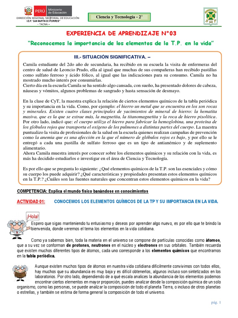 ACTIVIDAD 01 - Cyt | PDF
