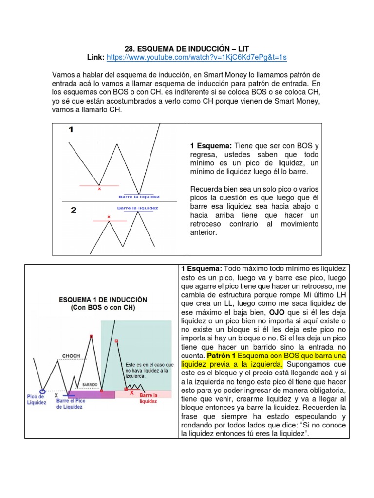Esquema de Inducción - Lit | PDF