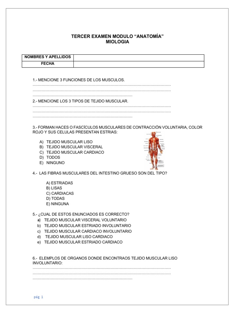 Examen de Miología: Funciones y Tejidos Musculares | PDF
