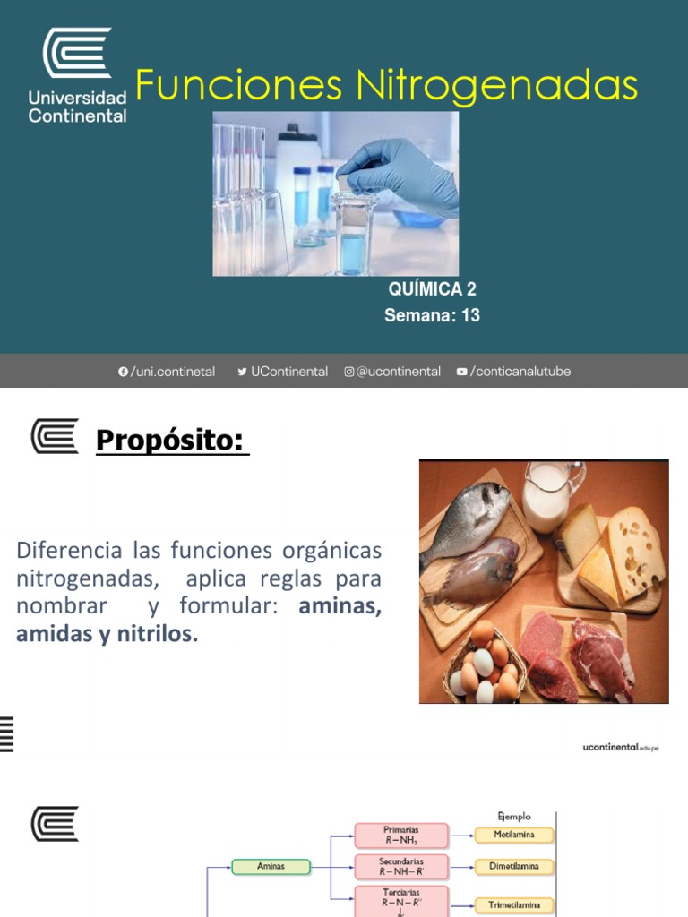Funciones Nitrogenadas UNIDAD 3 | PDF | Amina | Amida