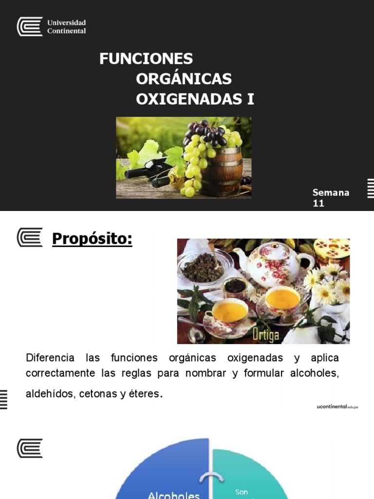 Funciones Oxigenadas | Descargar gratis PDF | Etanol | Metanol