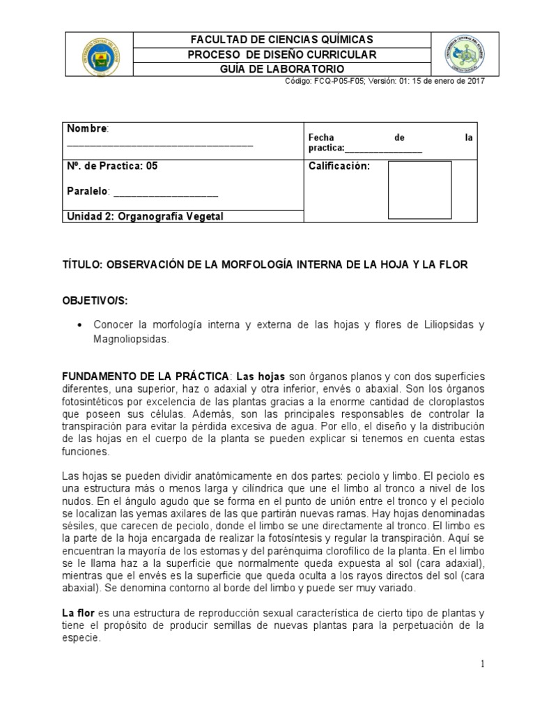 Guia 4. Botánica - Hoja y Flor | PDF | Flores | Hoja