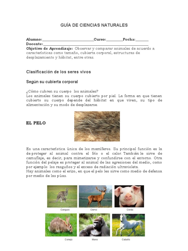 GUIA DE CIENCIAS NATURALES Cubierta Corporal | PDF