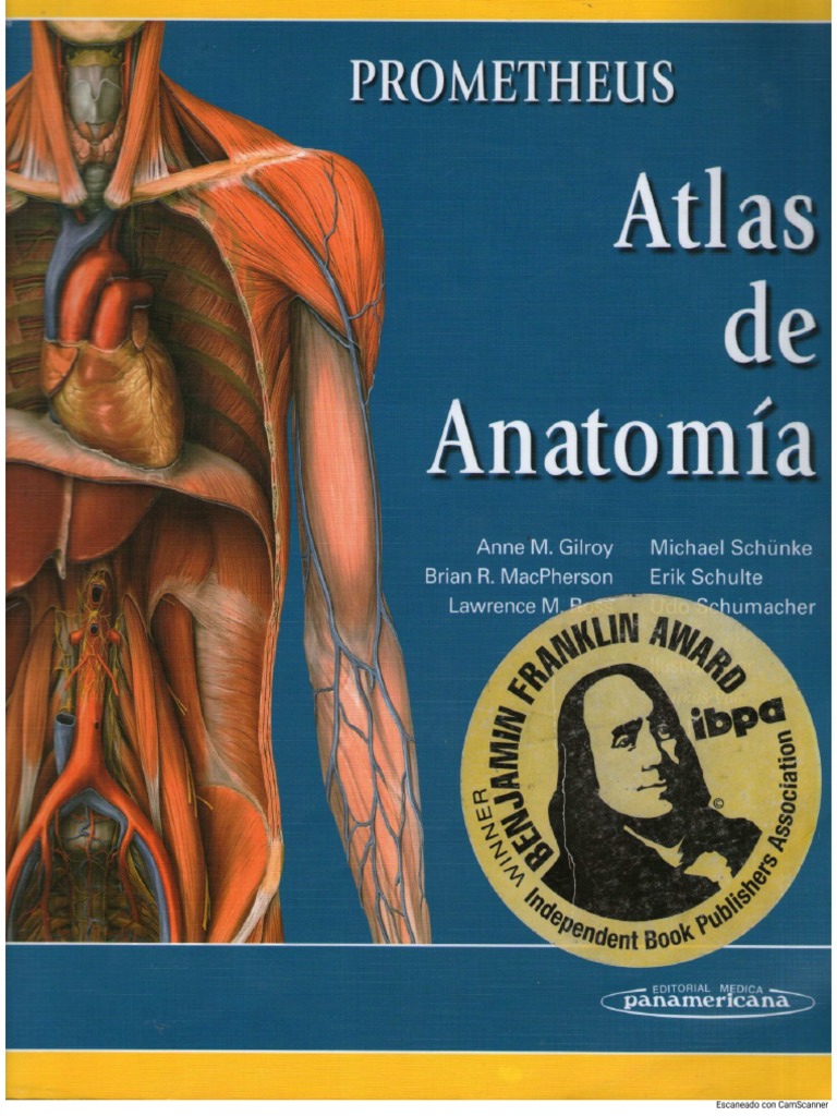 Prometheus Atlas de AnatomÃ - A | PDF