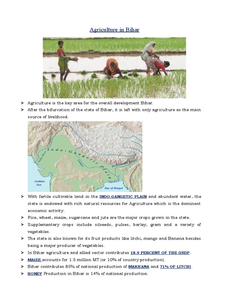Agriculture in Bihar | PDF