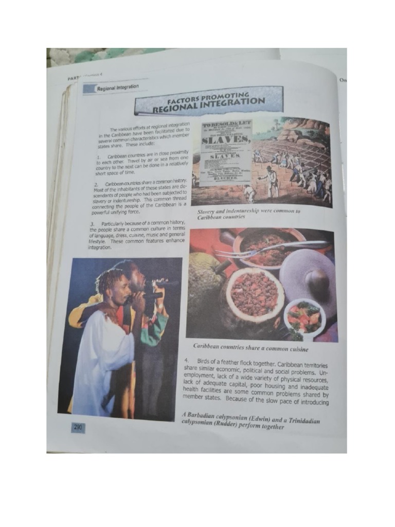 Social Studies Notes | PDF