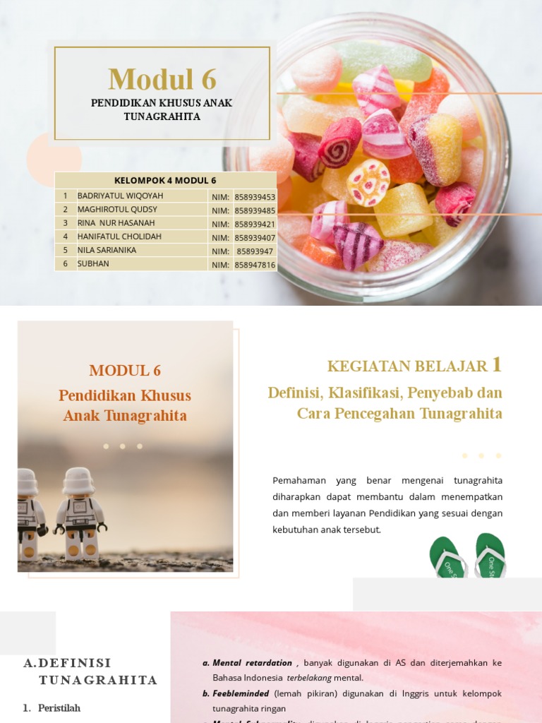 Modul 6 Kelompok 4 Pendidikan ABK | PDF