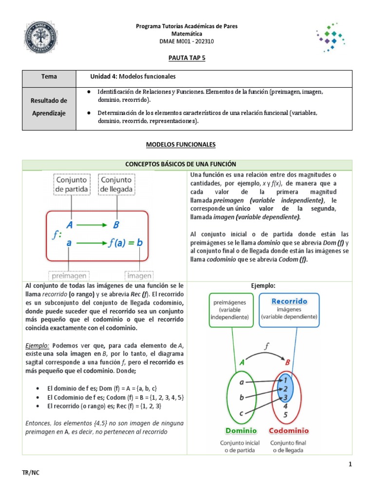 Pauta Guía Tap 5 - Dmae M001 | PDF | Función (Matemáticas) | Matemáticas