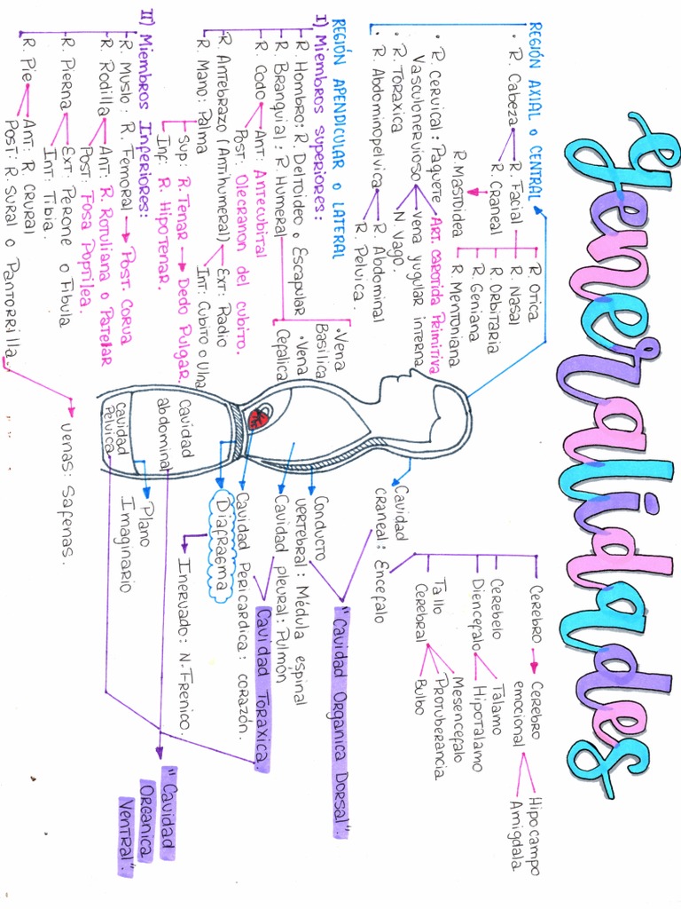 Generalidades - Anatomia | PDF