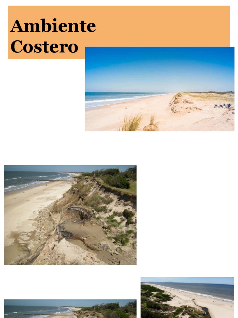 Presentación Ambiente Costero | PDF