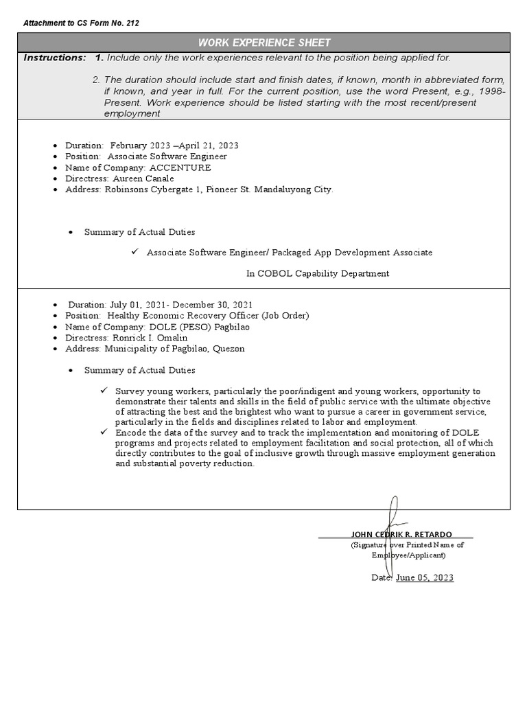 Work Experience Sheet | PDF