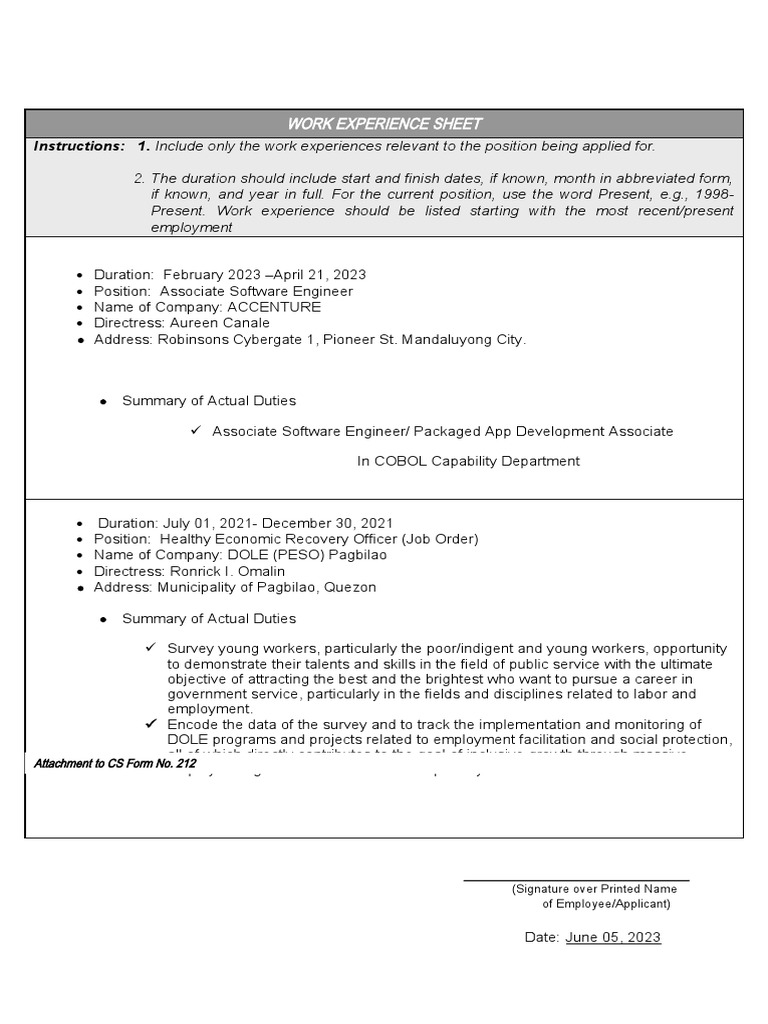 2025 Work Experience Sheet Template | PDF