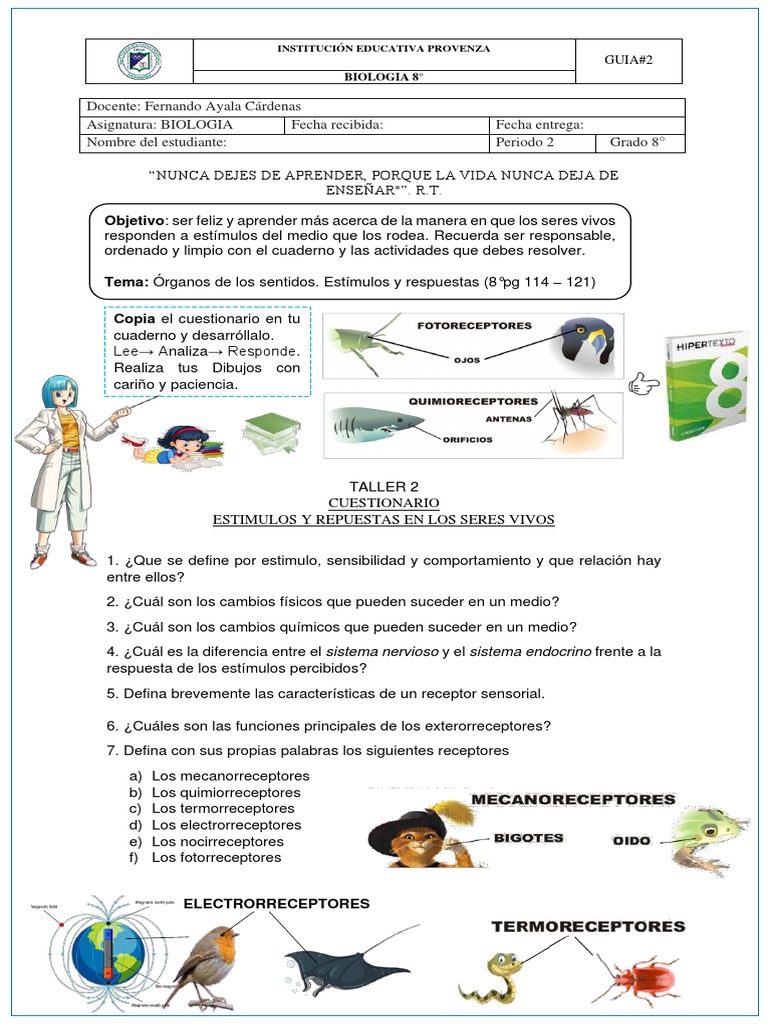 Biologia 8° Taller 6 2 0 1 Cuestionario - Órganos de Los Sentidos ...
