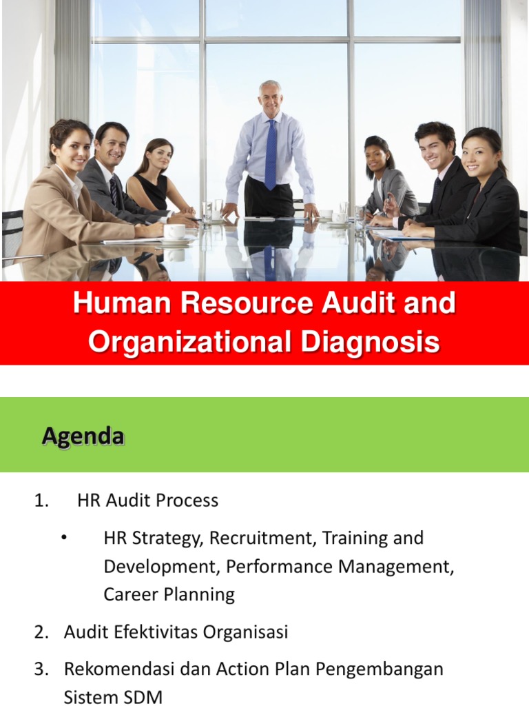 Hr Audit Pdf