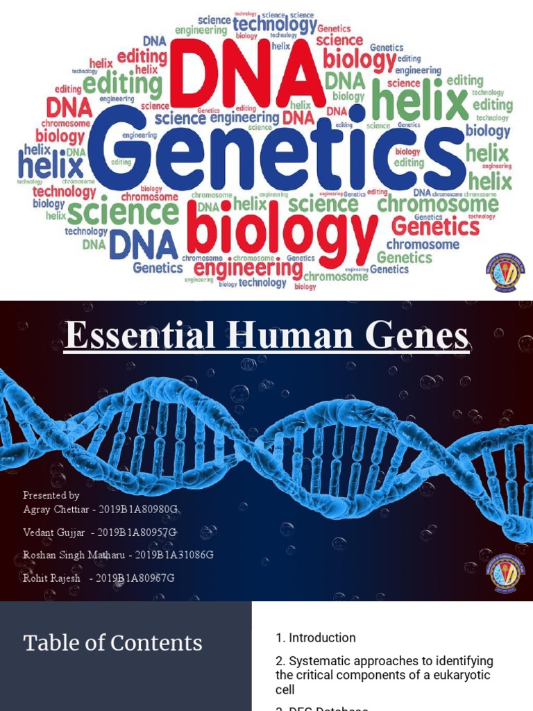 Genetics Presentation | PDF | Rna | Gene