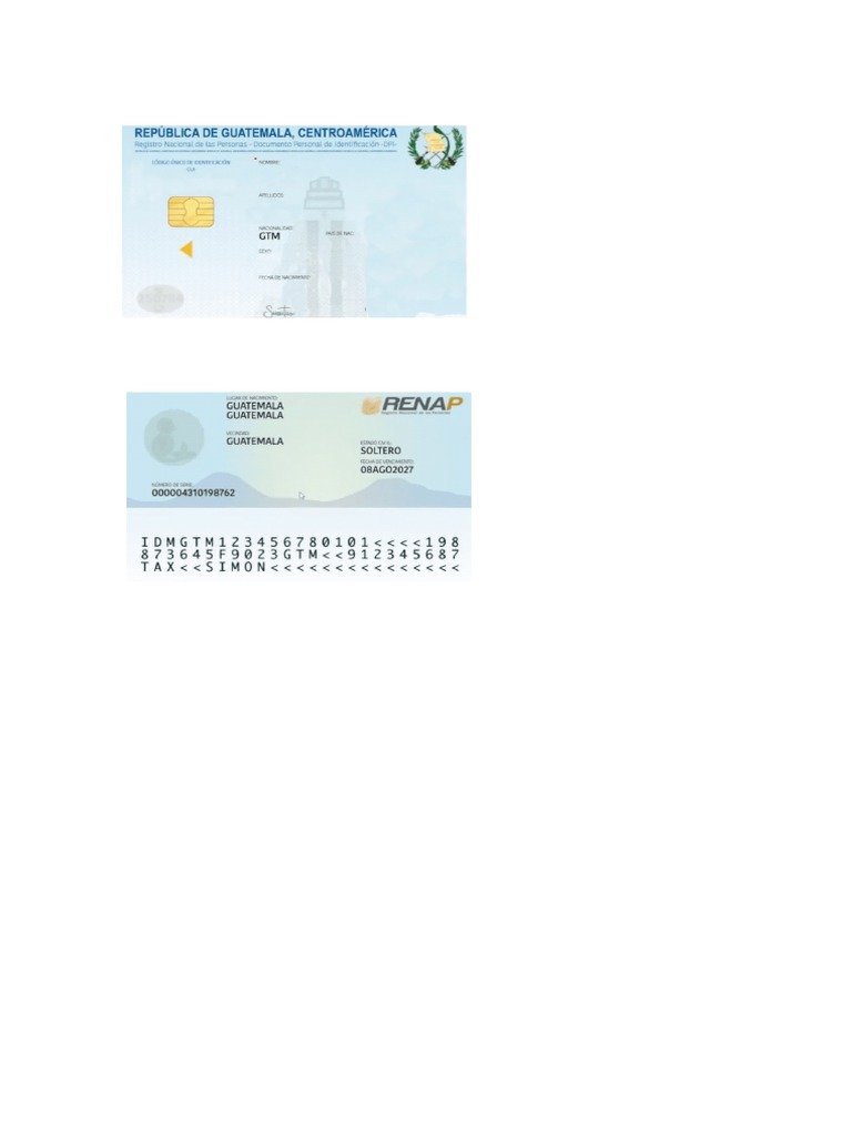 Formato DPI Editable | PDF