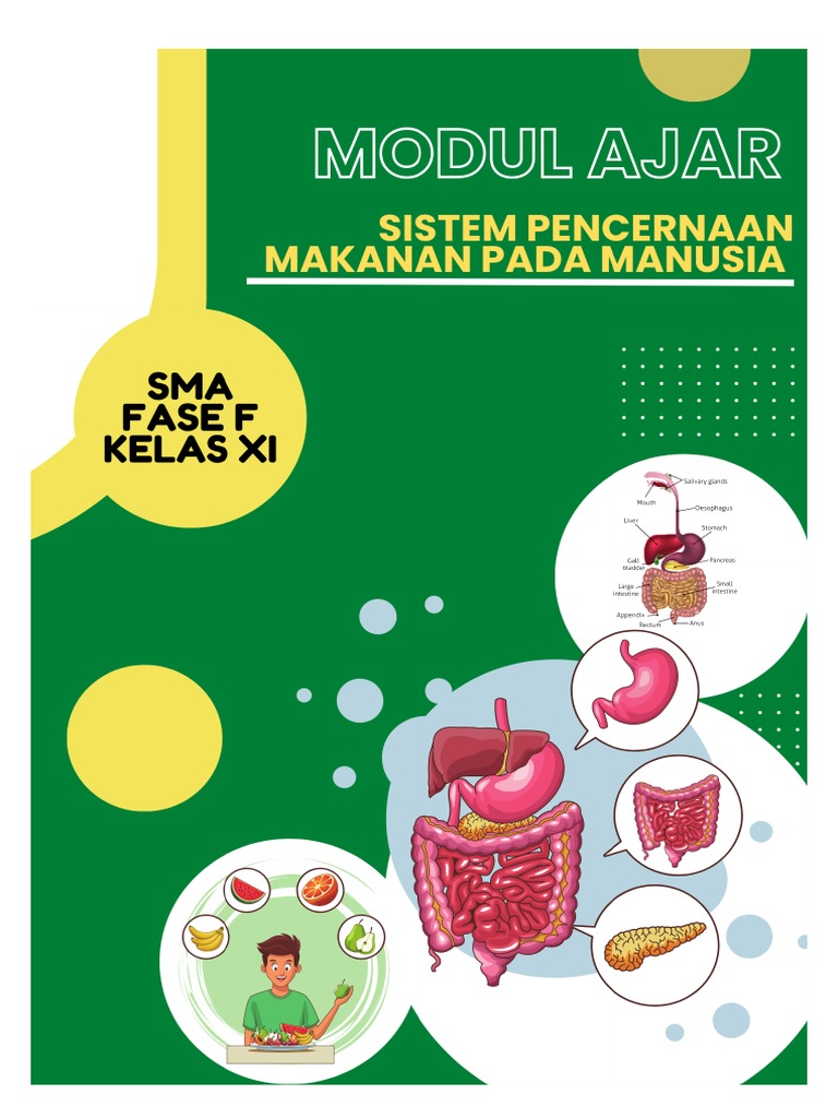 Modul Ajar Makanan Dan Sistem Pencernaan | PDF