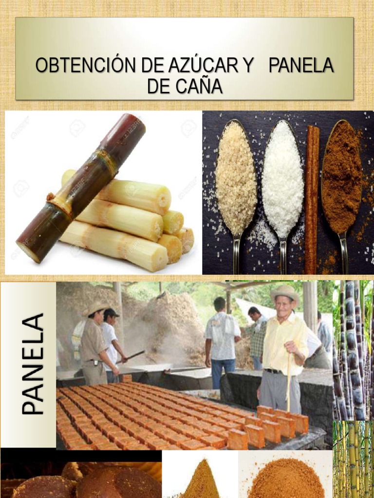 Obtención de Azúcar y Panela de Caña | PDF | Azúcar | Dieta y nutrición