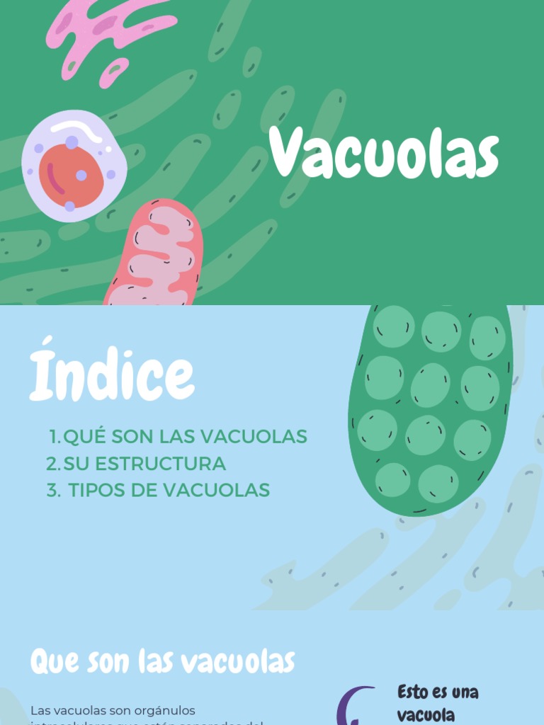 Vacuola | PDF | Vacuole | Biología Celular)