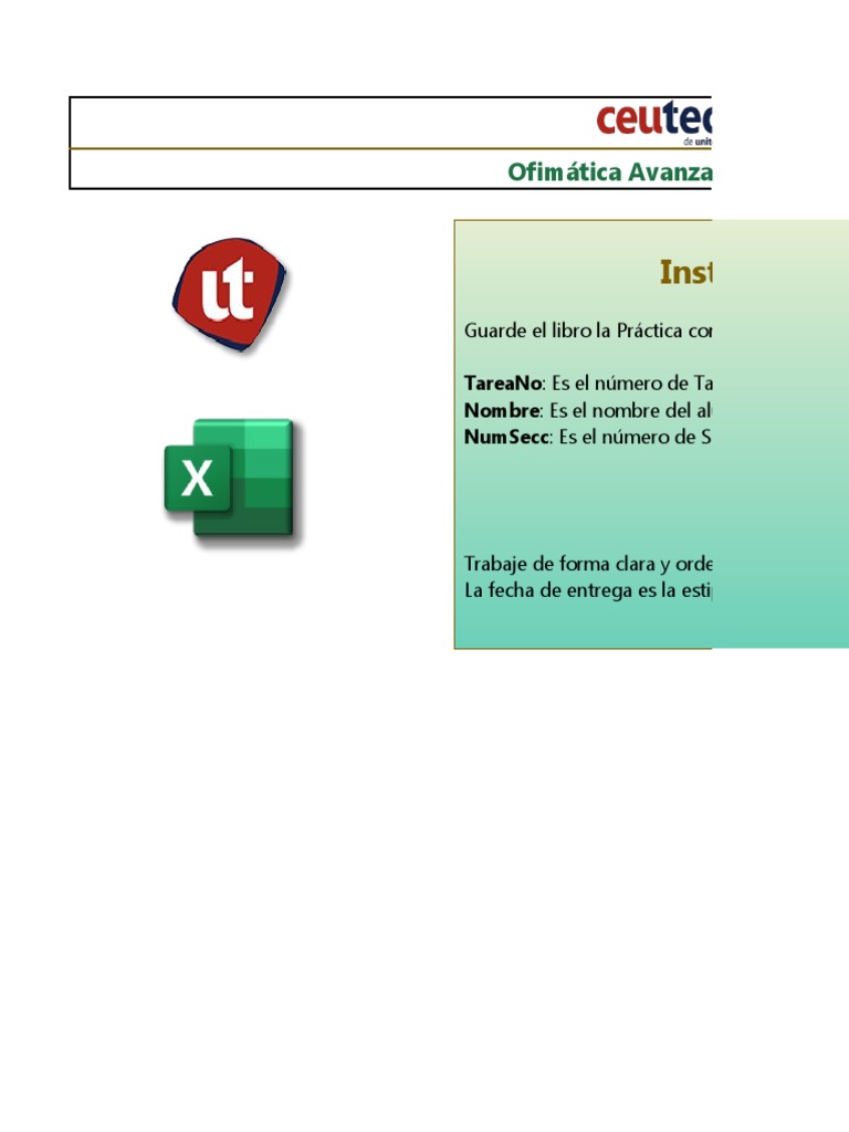 Instrucciones de Ofimática Avanzada Excel | PDF | Informática