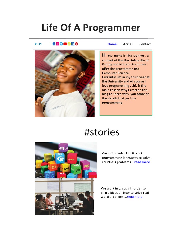 Life of A Programmer | PDF