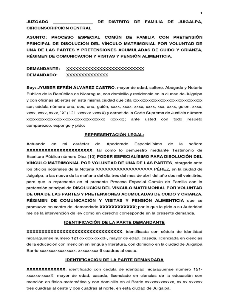 Modelo De Demanda De Divorcio En Nicaragua