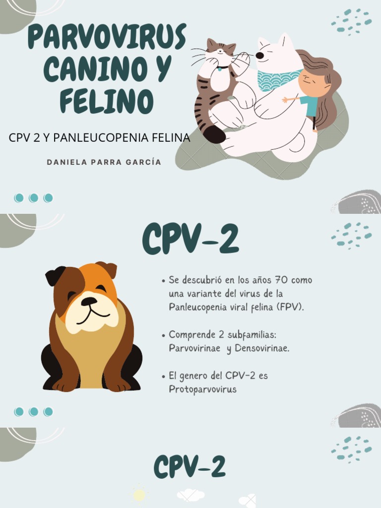 Estructura y síntomas del parvovirus canino | PDF