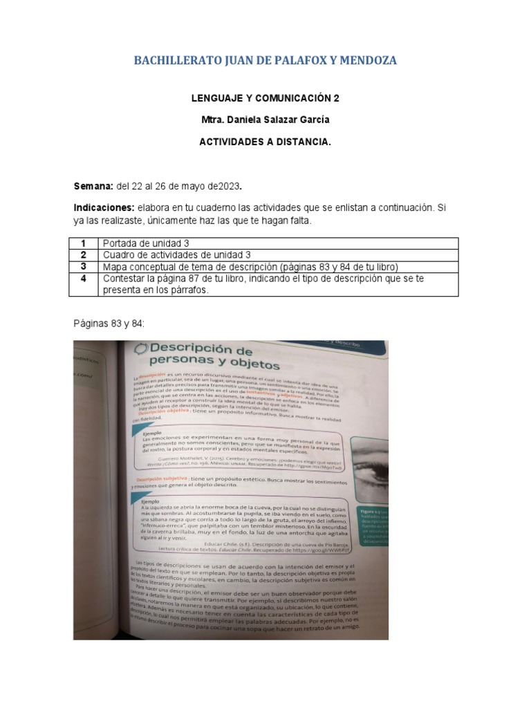 Actividades A Distancia LyC 2 S1 | PDF