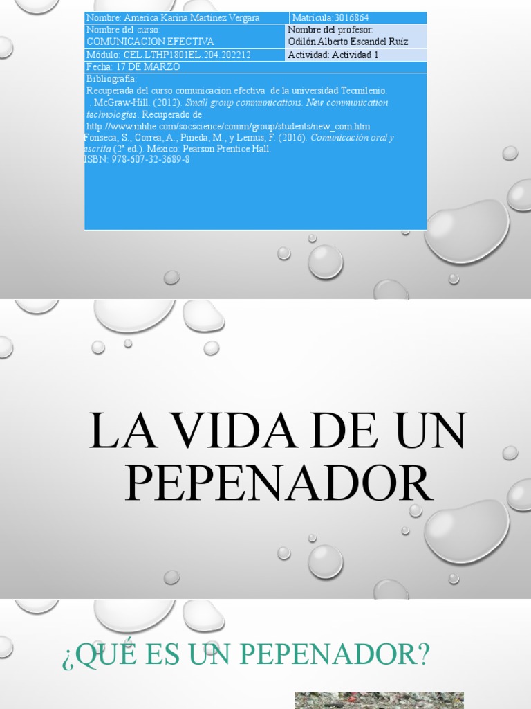 Act 1 Comunicacion Efectiva Pdf