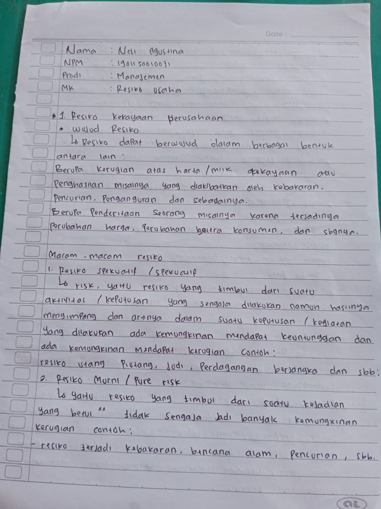 Neli Agustina M Risiko Usaha | PDF