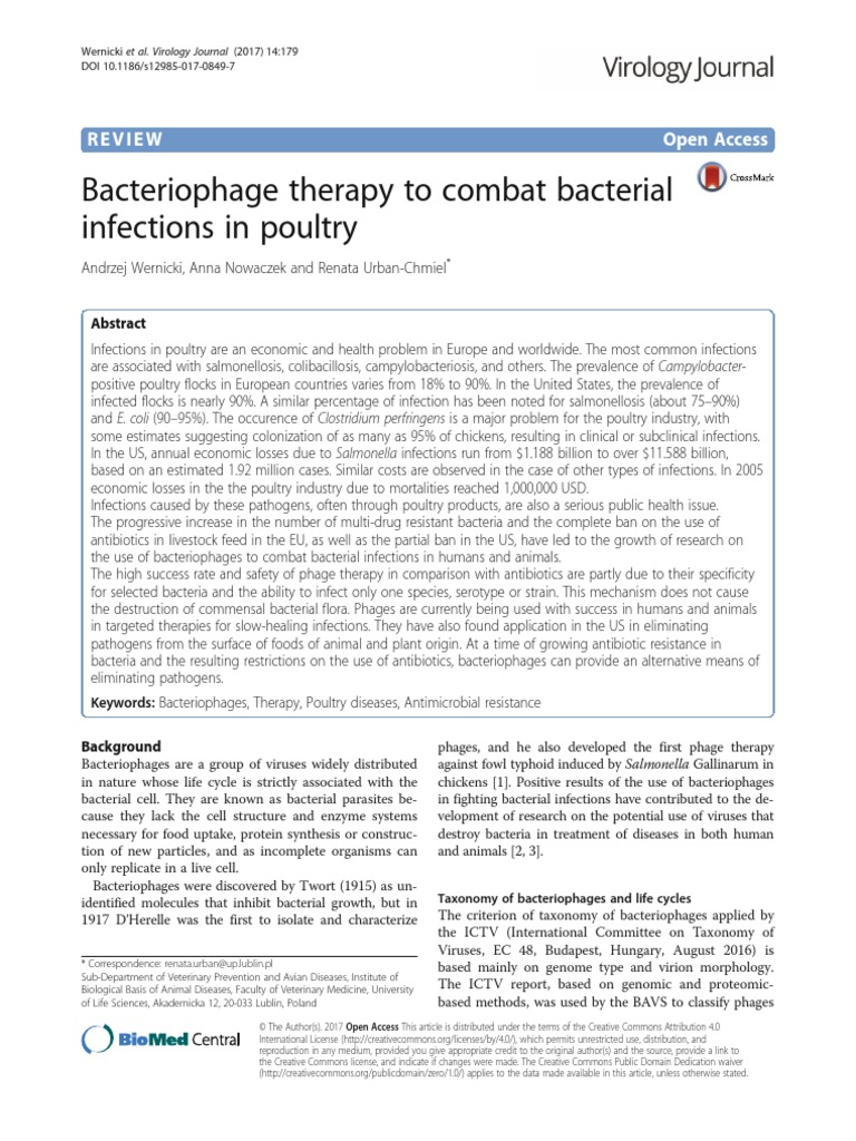 Bacteriophage | PDF | Bacteriophage | Bacteria