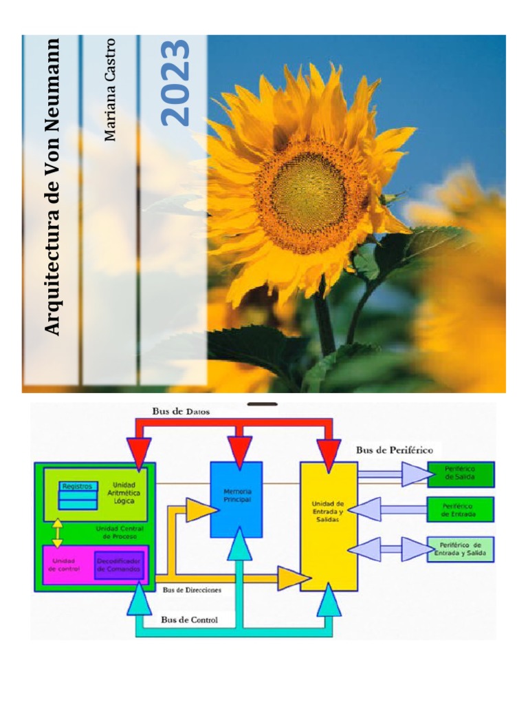 Arq de Von Neumann | PDF | Memoria de sólo lectura | Almacenamiento de ...