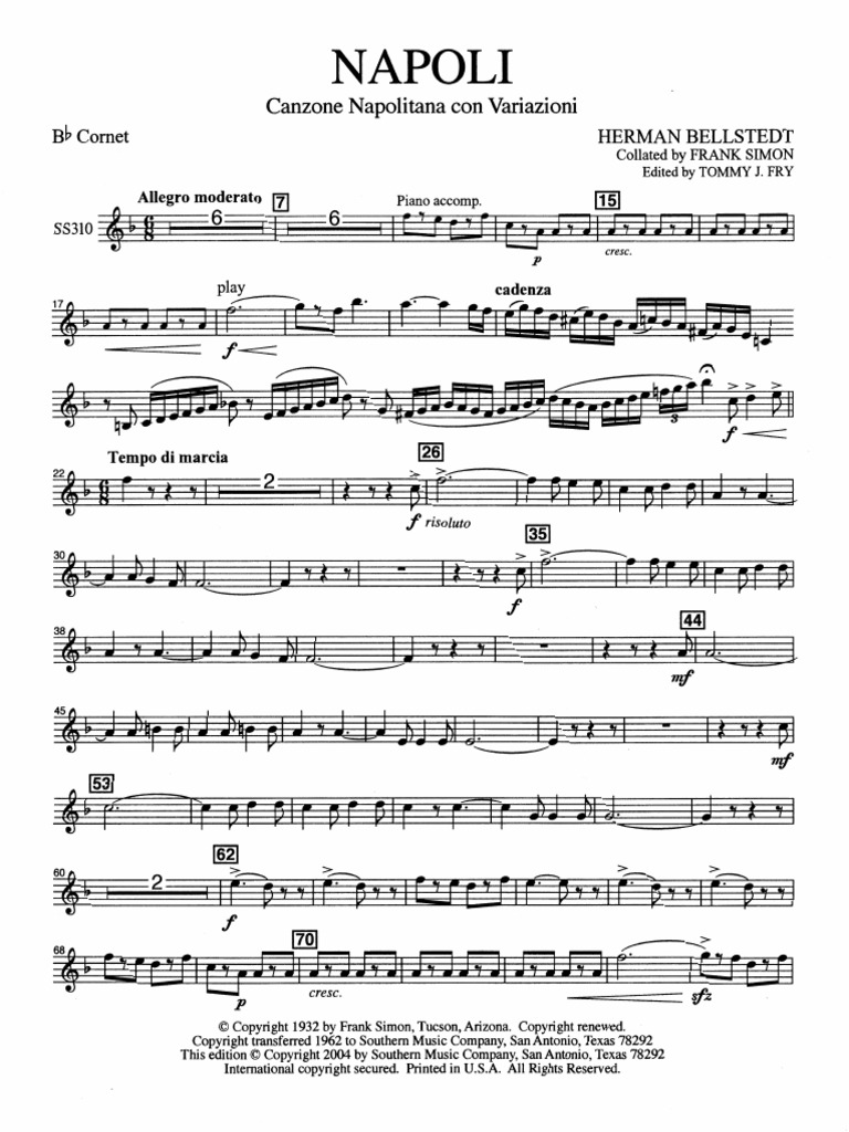 Napoli Trumpet | PDF | Freedom Of Expression Law | Copyright Law