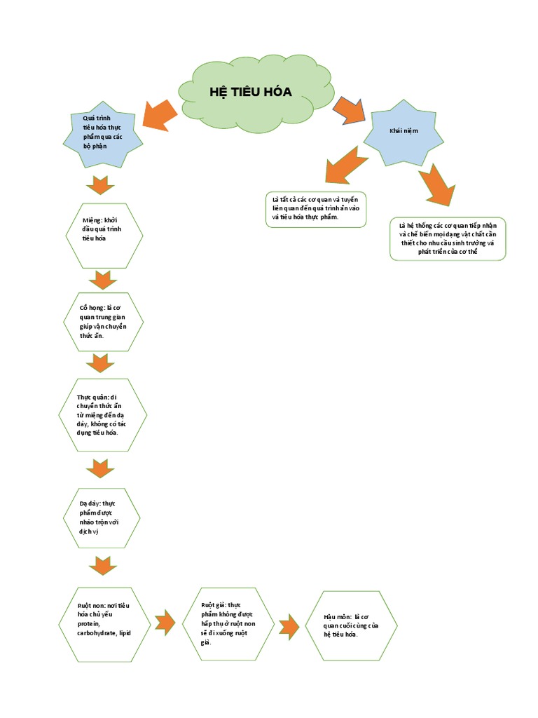 QT Tiêu hóa & hấp thu | PDF