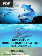 Parts of A Fish | PDF